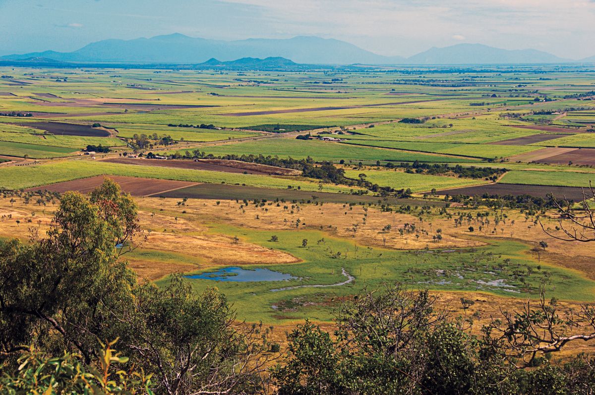 Burdekin | Discover Townsville, North Queenland