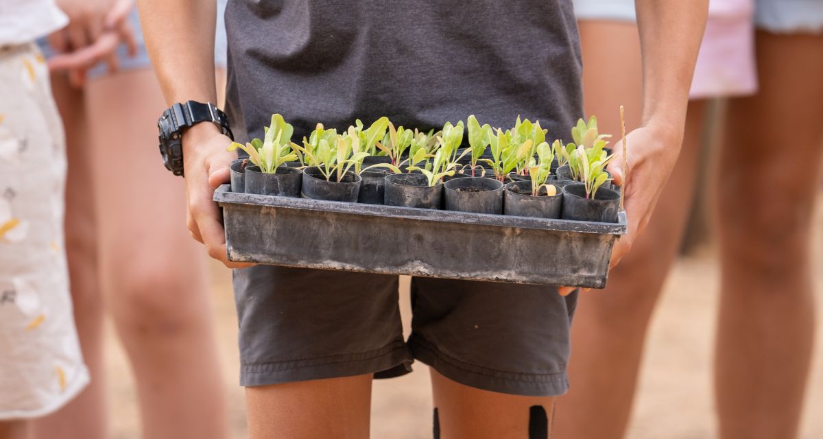 The Seed Ceremony | The Alice Springs Steiner School