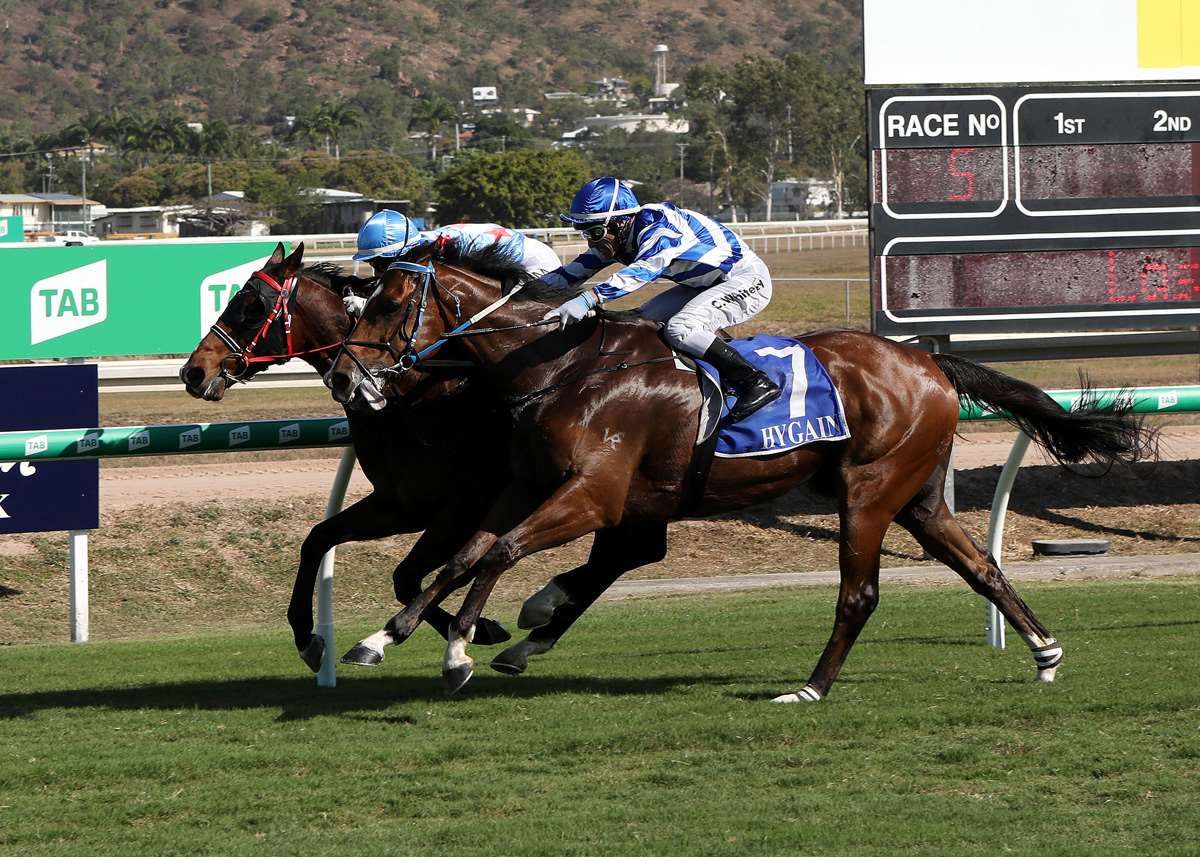 Plan Change for Play Me Now, but Cups Still the Main Mission | Cluden Park