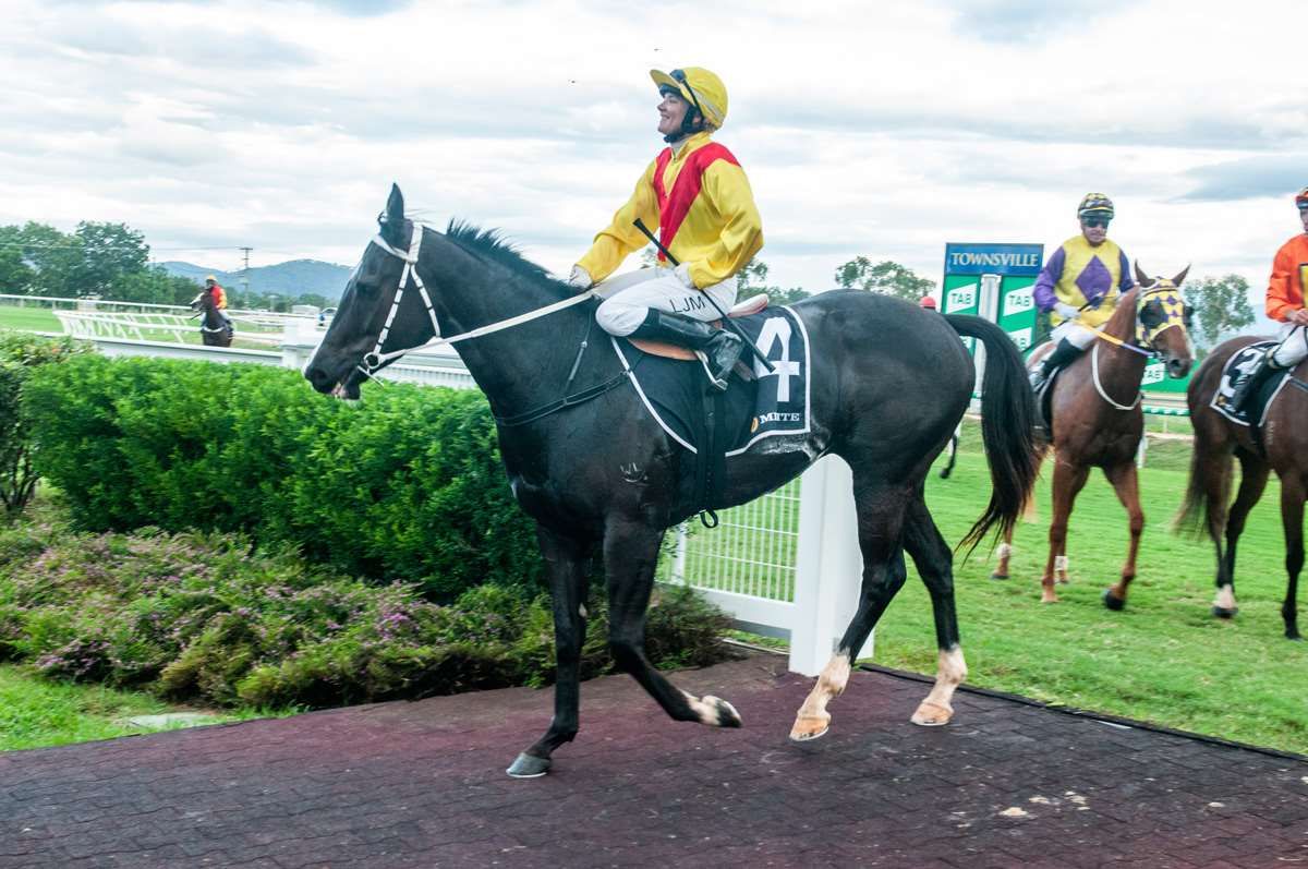 Morrison Aims to Cap Off Career Best Season | Cluden Park