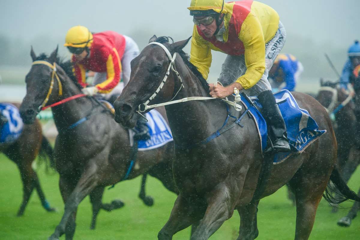 No Stopping Irrepressible Spry | Cluden Park