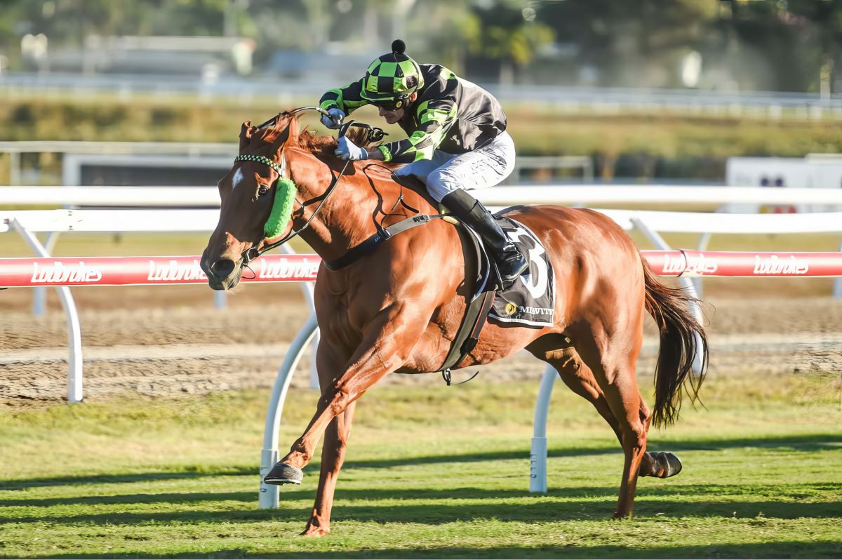 Jokic Banks on Jockey Change for Acrobatic | Cluden Park