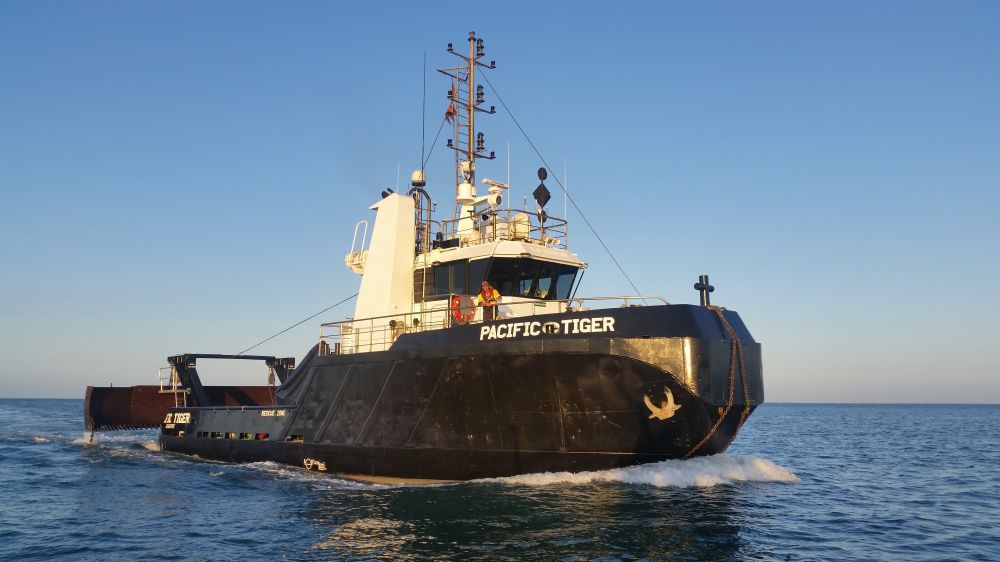Pacific Tiger | Fodico Marine Group