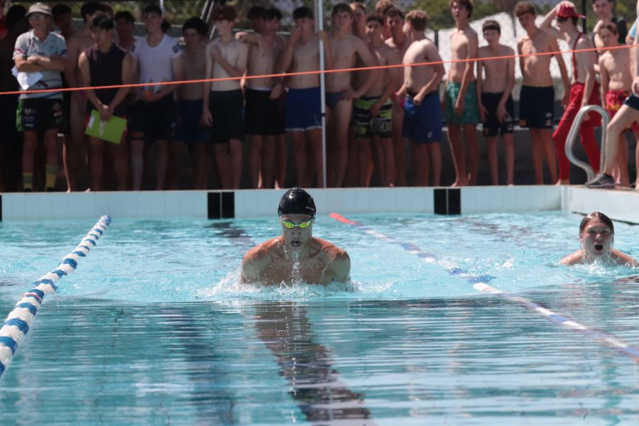 Swimming Carnival | Ignatius Park College