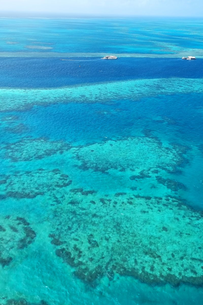 Reef Sleep with Cruise Whitsundays | Magnums