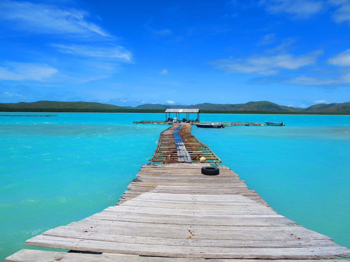 Torres and Cape region | NQRTH