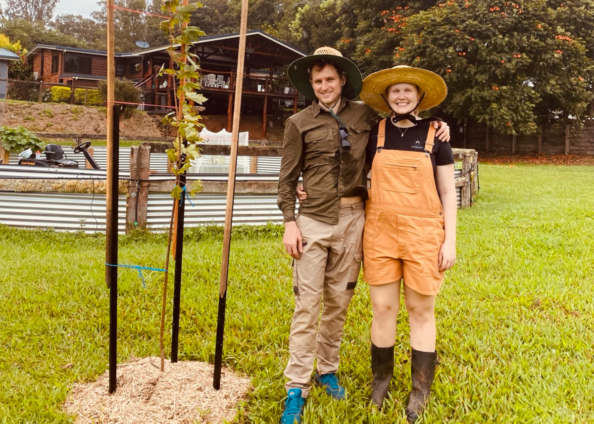 Laying down roots in the Tablelands | NQRTH