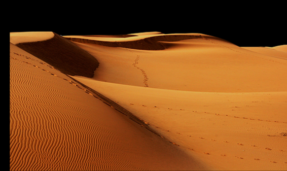 Early desert settlement of Arabia following out-of-Africa dispersals ...