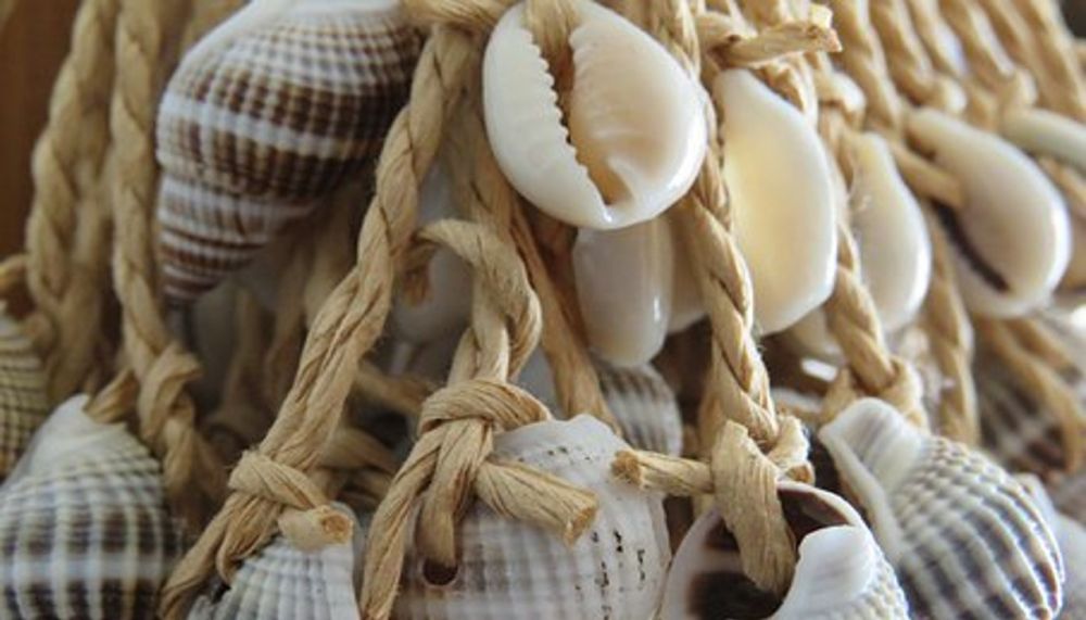 Cowries and Monsoon Trade | The Cairns Institute Research in Tropical ...