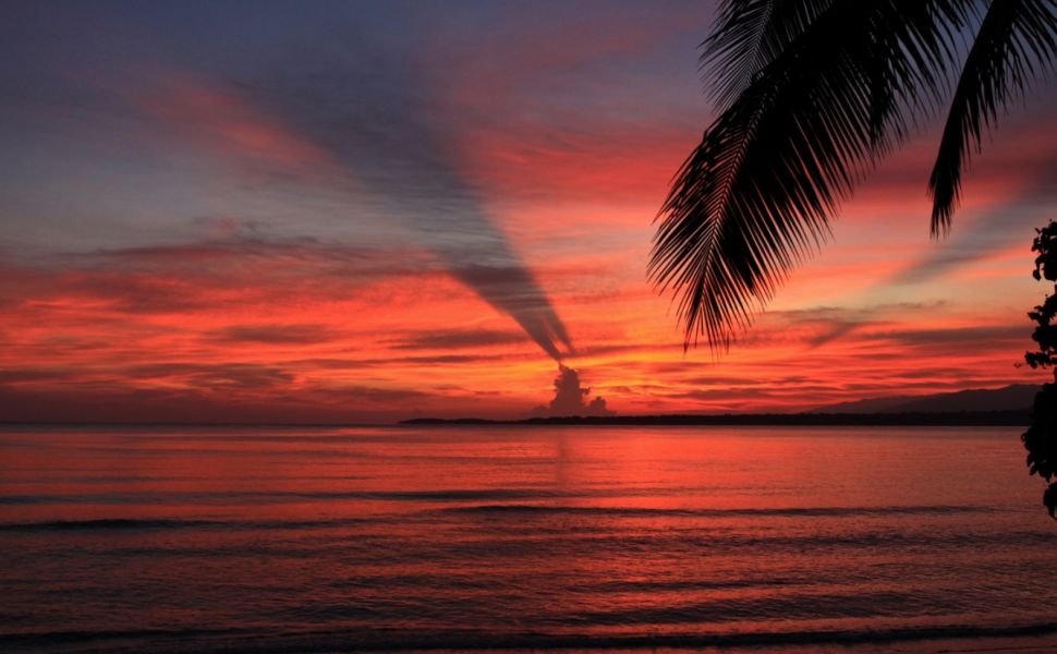 International Day of the Tropics Lecture | The Cairns Institute ...