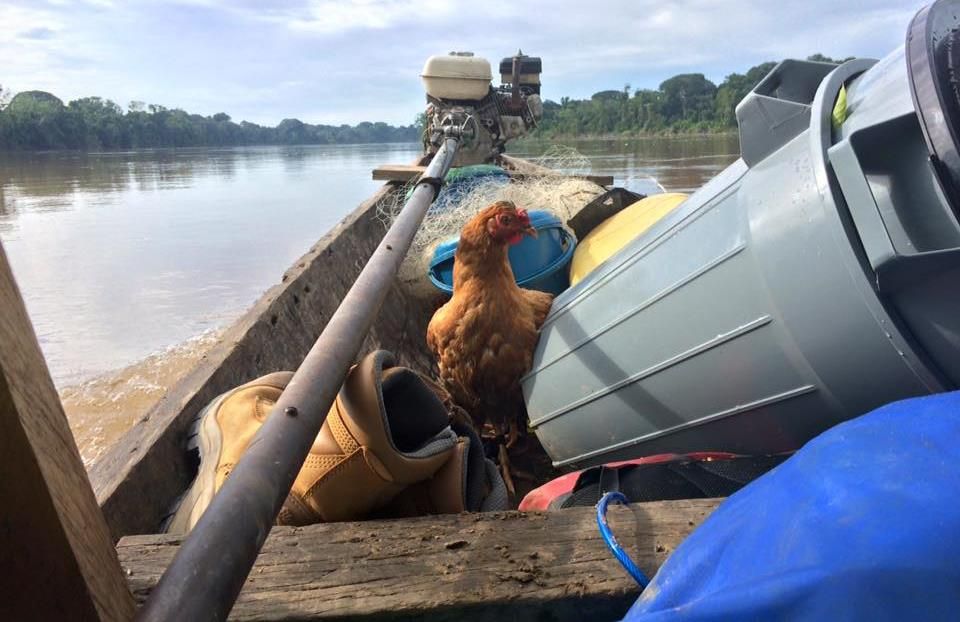 The adventure of linguistic fieldwork: Meeting 3 | The Cairns Institute ...