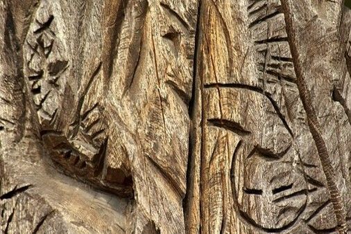 The Life and Death of a Rainforest Dendroglyph | The Cairns Institute ...