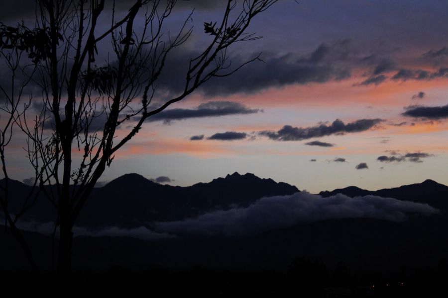The adjective class in Murui | The Cairns Institute Research in ...