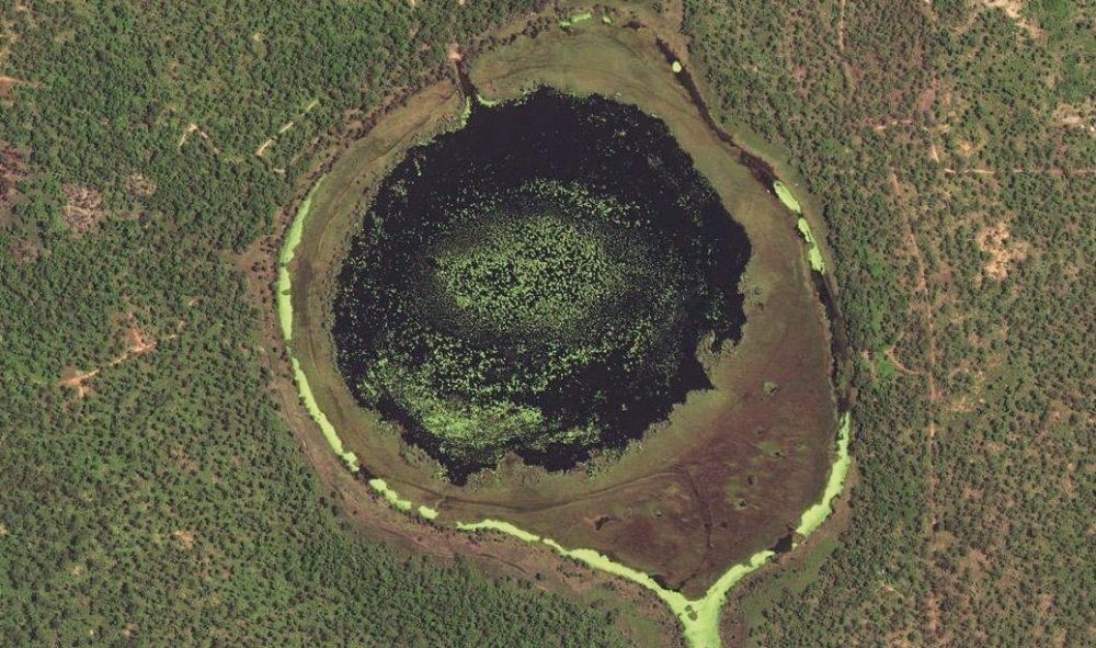 Girraween Pollen Sequence | The Cairns Institute