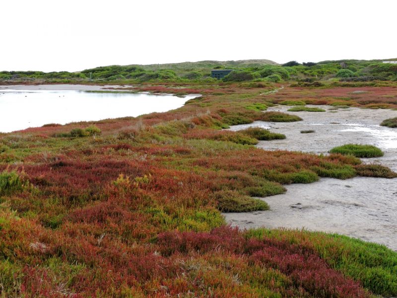 People, Sea Levels and Salt Marsh - Environmental Change for the Last ...