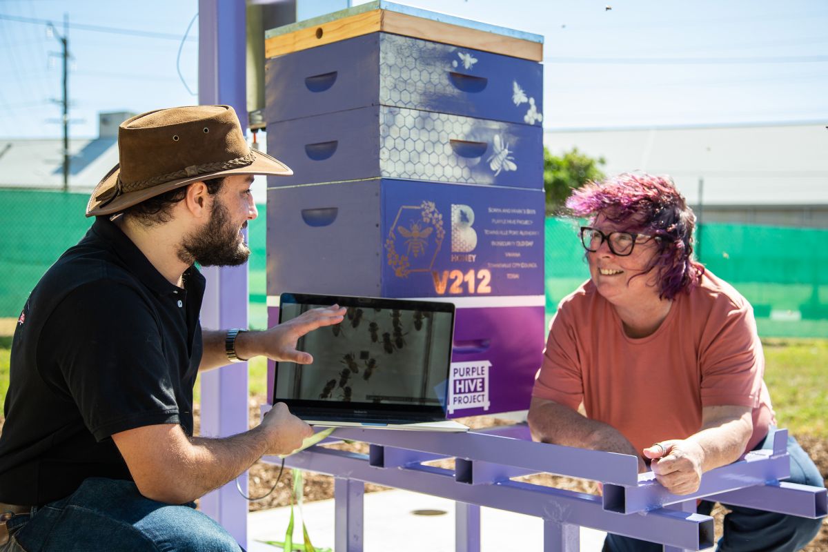 BEE AWARE: Port of Townsville bolsters Varroa mite fight with Purple ...