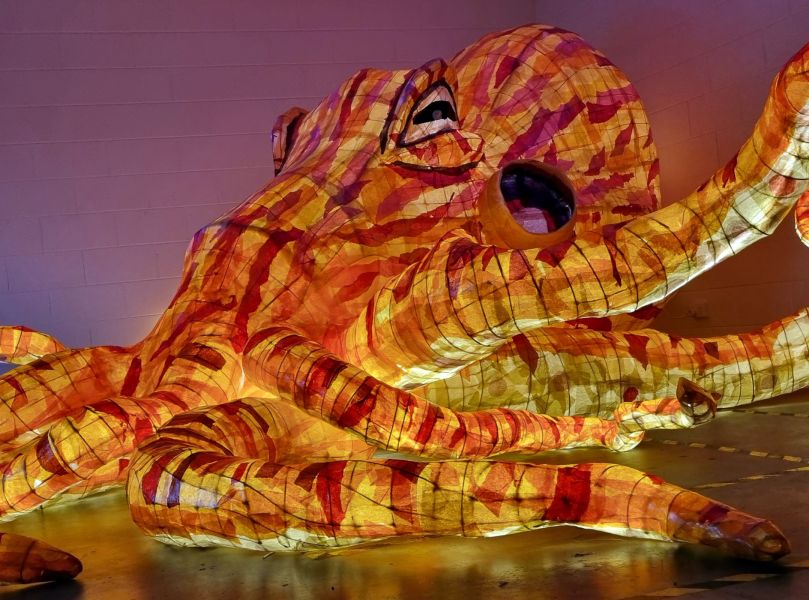 Illuminated Waters | Umbrella Studio Contemporary Arts