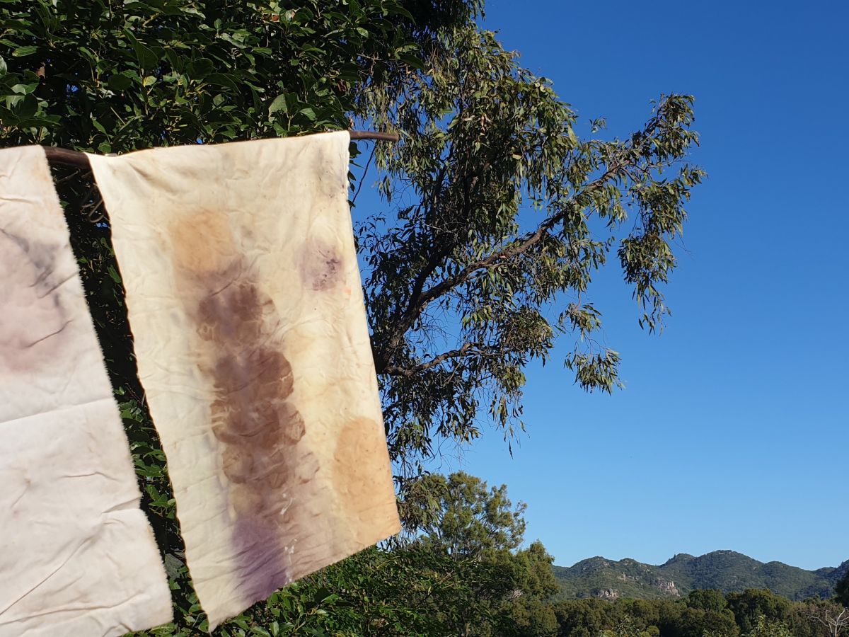 Fringe Art Trail | Tree Stories | Umbrella Studio Contemporary Arts