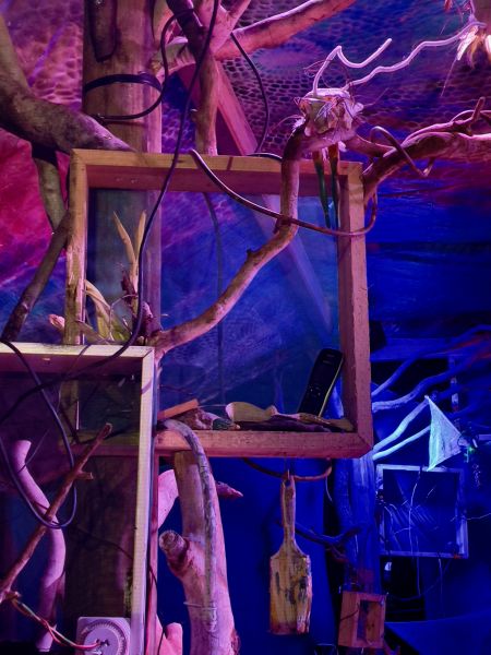 Living Archive | Umbrella Studio Contemporary Arts