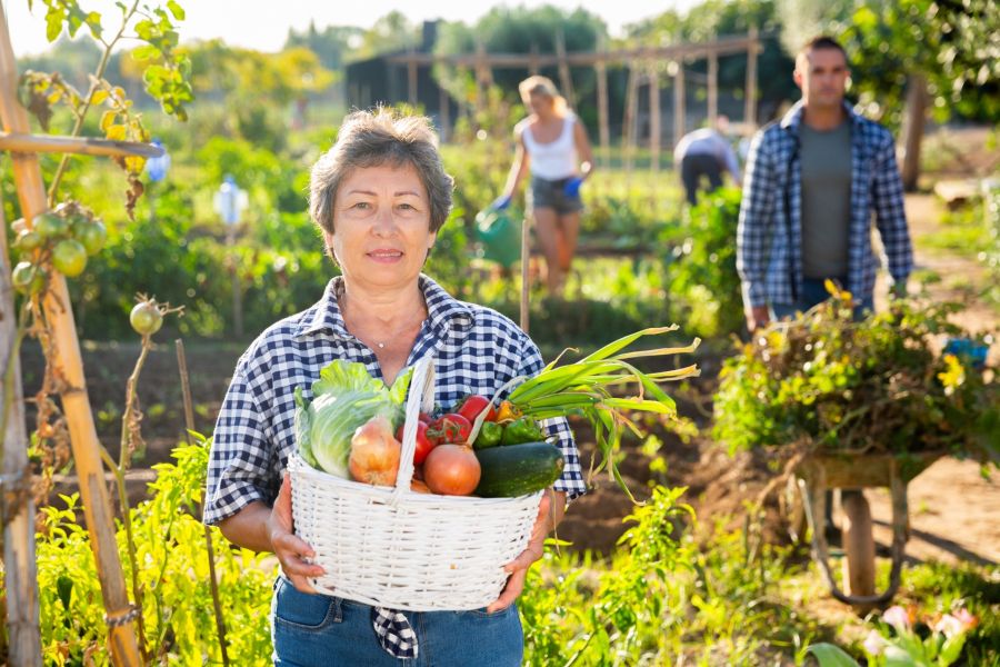 The Second Generation: Family Trusts and Succession Planning | Wallace ...