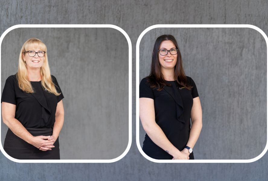 Work Milestones! | wilson/ryan/grose