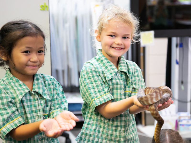 Wildlife Visit to Prep | Annandale Christian College Townsville
