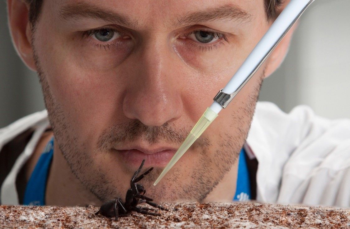 Unlocking the power of venom | AITHM