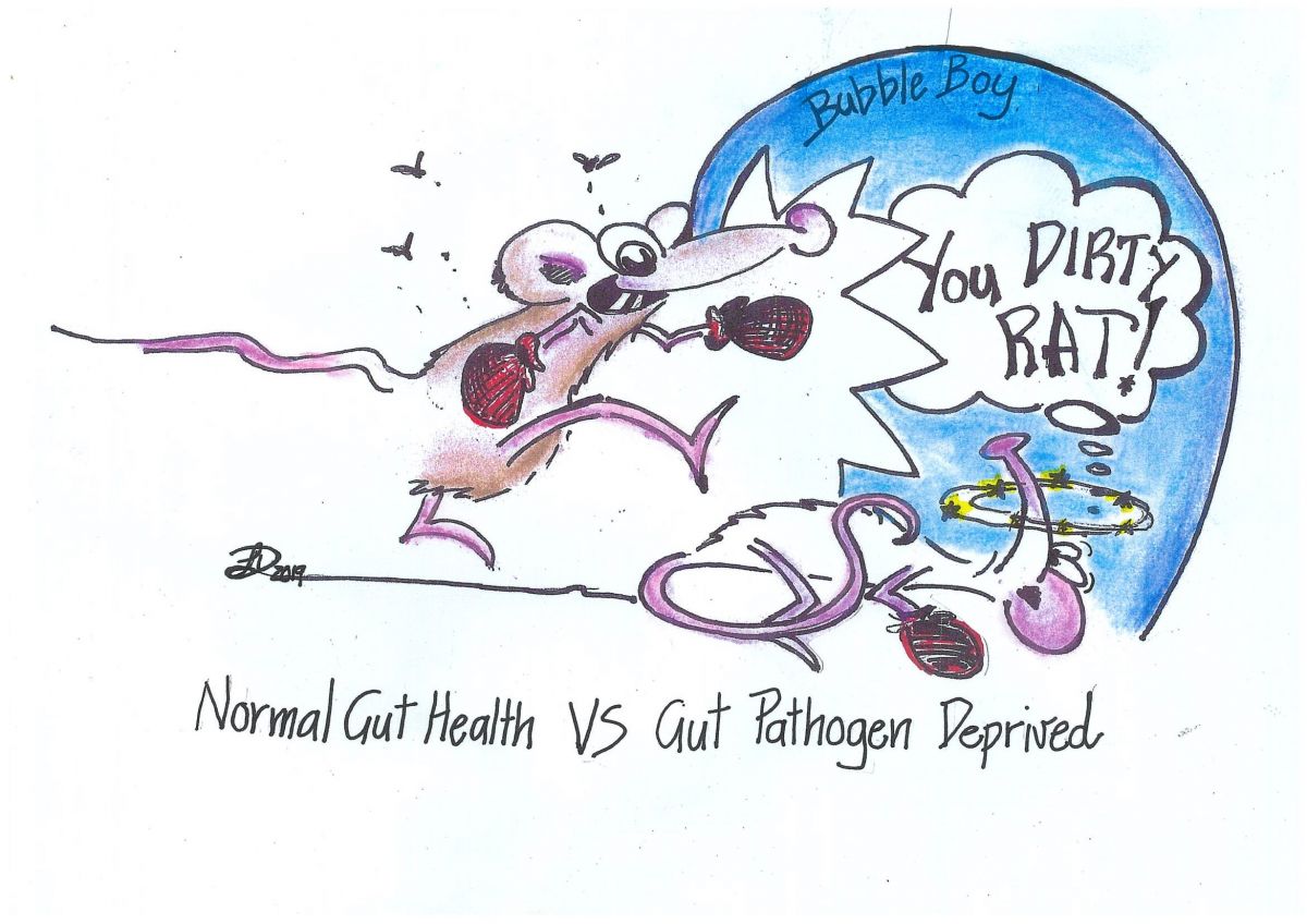 Gut health key to effective biomedical research | AITHM