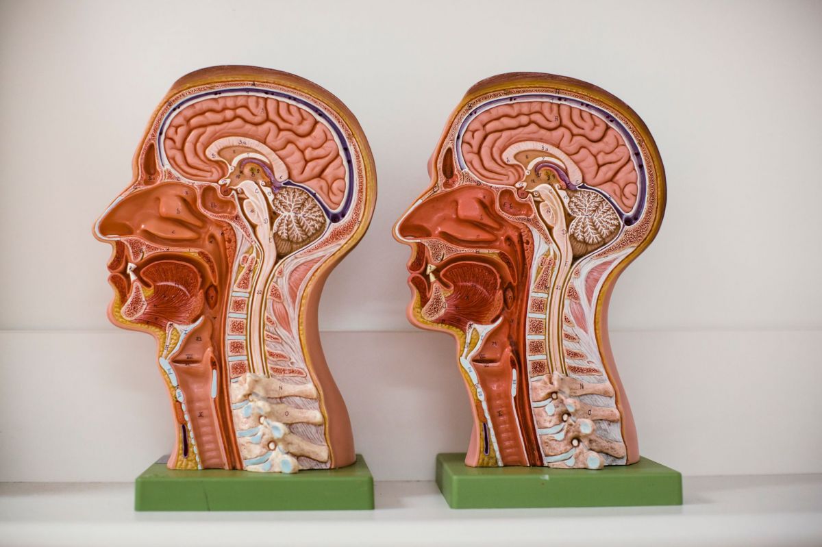 Exploring the brain on politics | AITHM