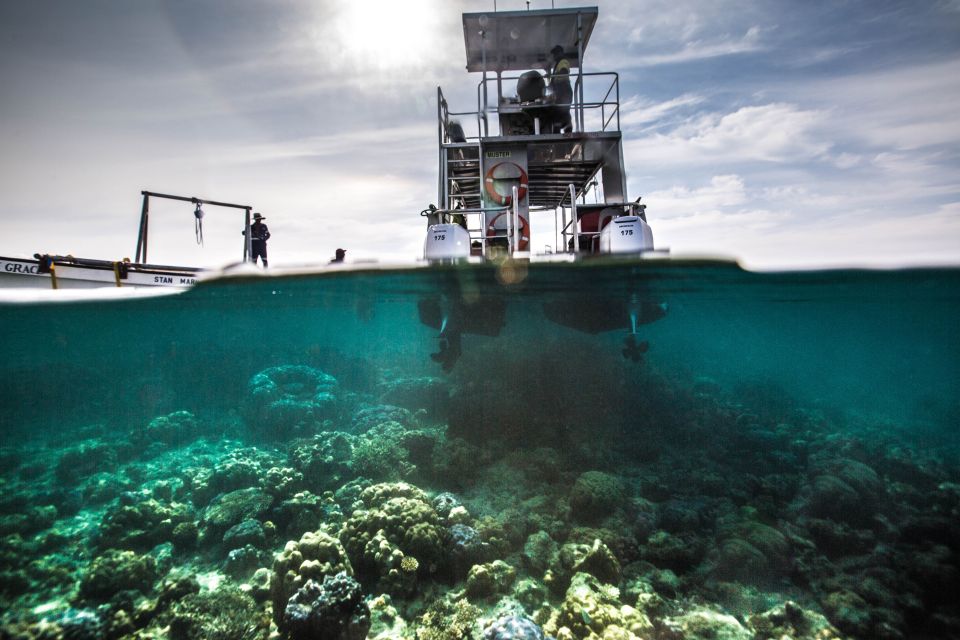 Pacific Marine Group | POMSSUP Coral Relocation PNG