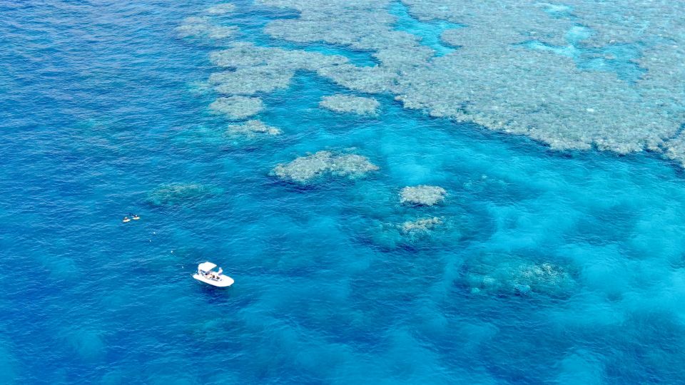 Pacific Marine Group | COTS Control Program 100th trip!