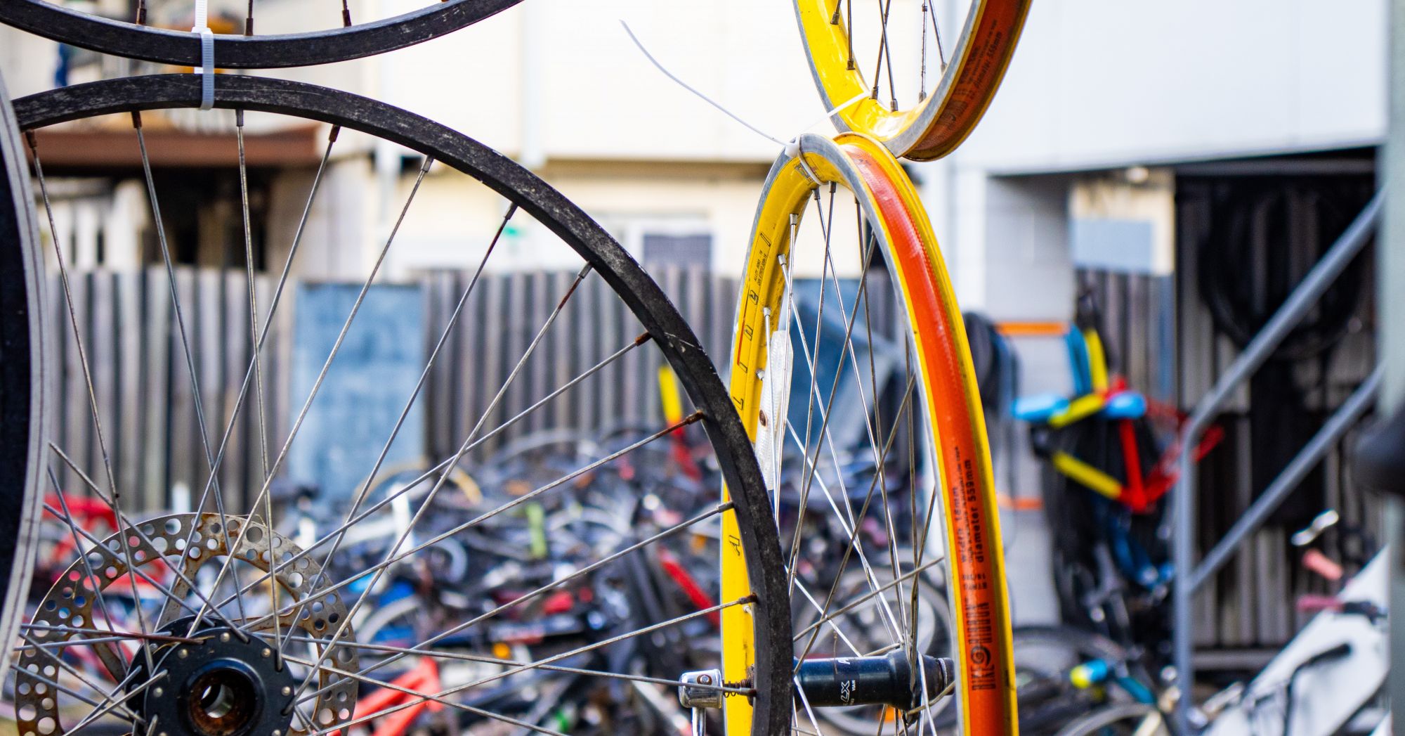 selectability | Mental Health, Suicide Prevention and NDIS service provider