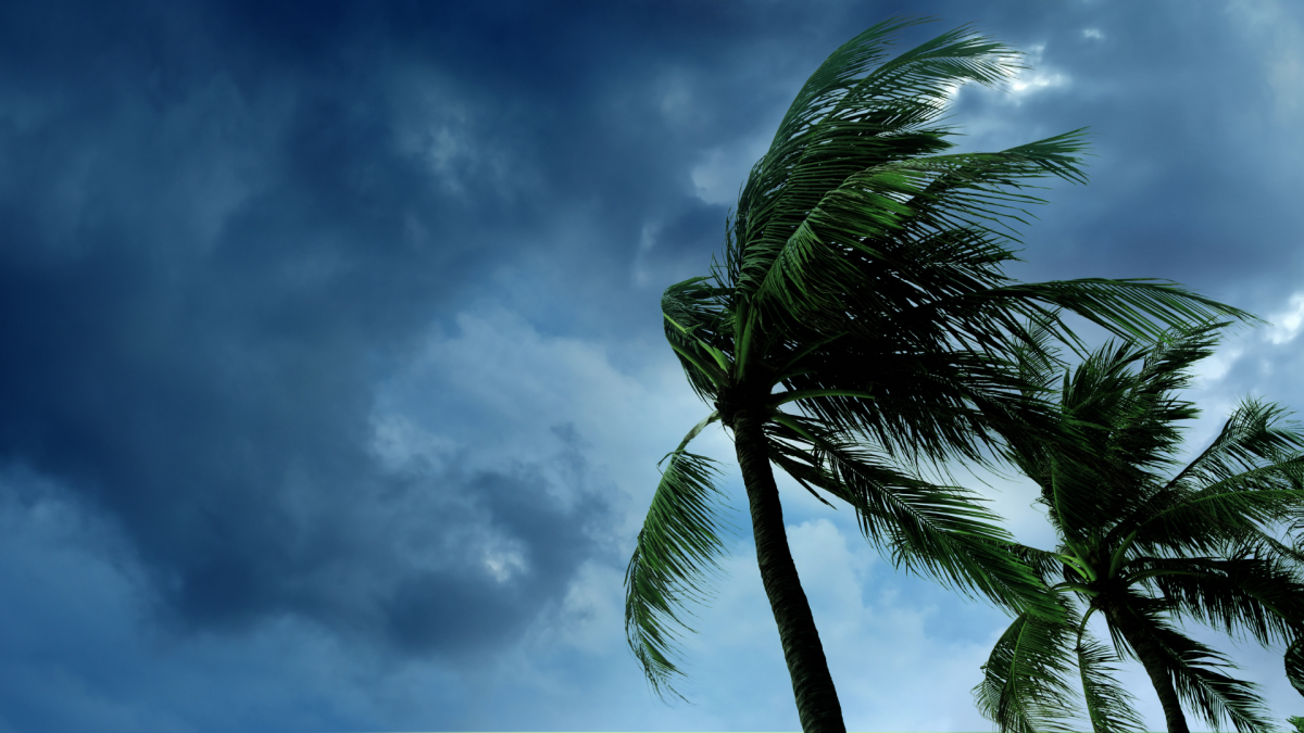 Get disaster ready | selectability