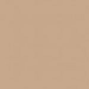 Creative Colour - Milk Coffee - Polka Dot Bride