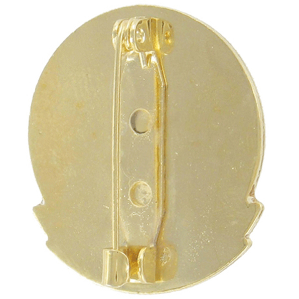 Custom lapel pins | metal | stamped | printed | ribbon | Perfection ...