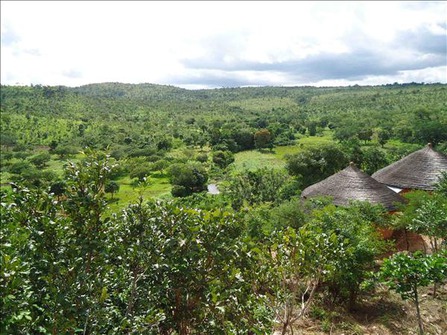 Midwife to Benin | PledgeMe