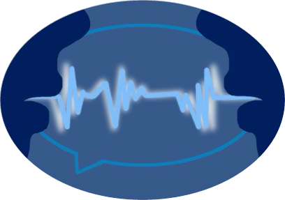 Voice to Voice | PledgeMe