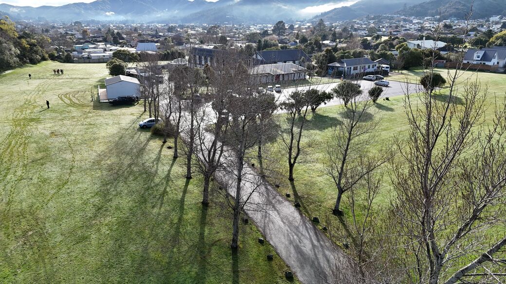 Grow a ‘Tiny Forest’ with a Wetland on a Marae and Show Others How ...