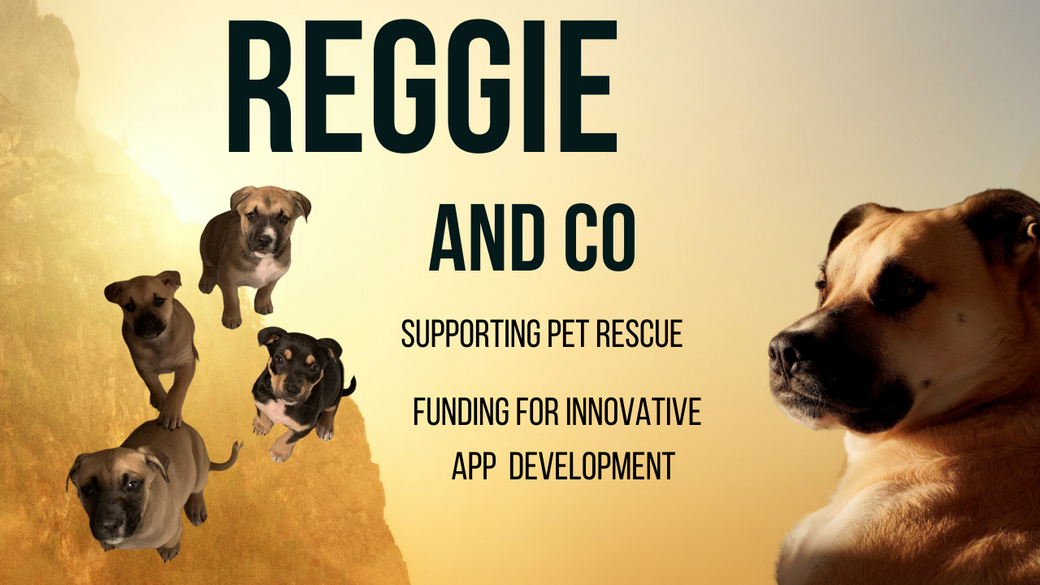 Reggie and Co - Pet Rescue App | PledgeMe