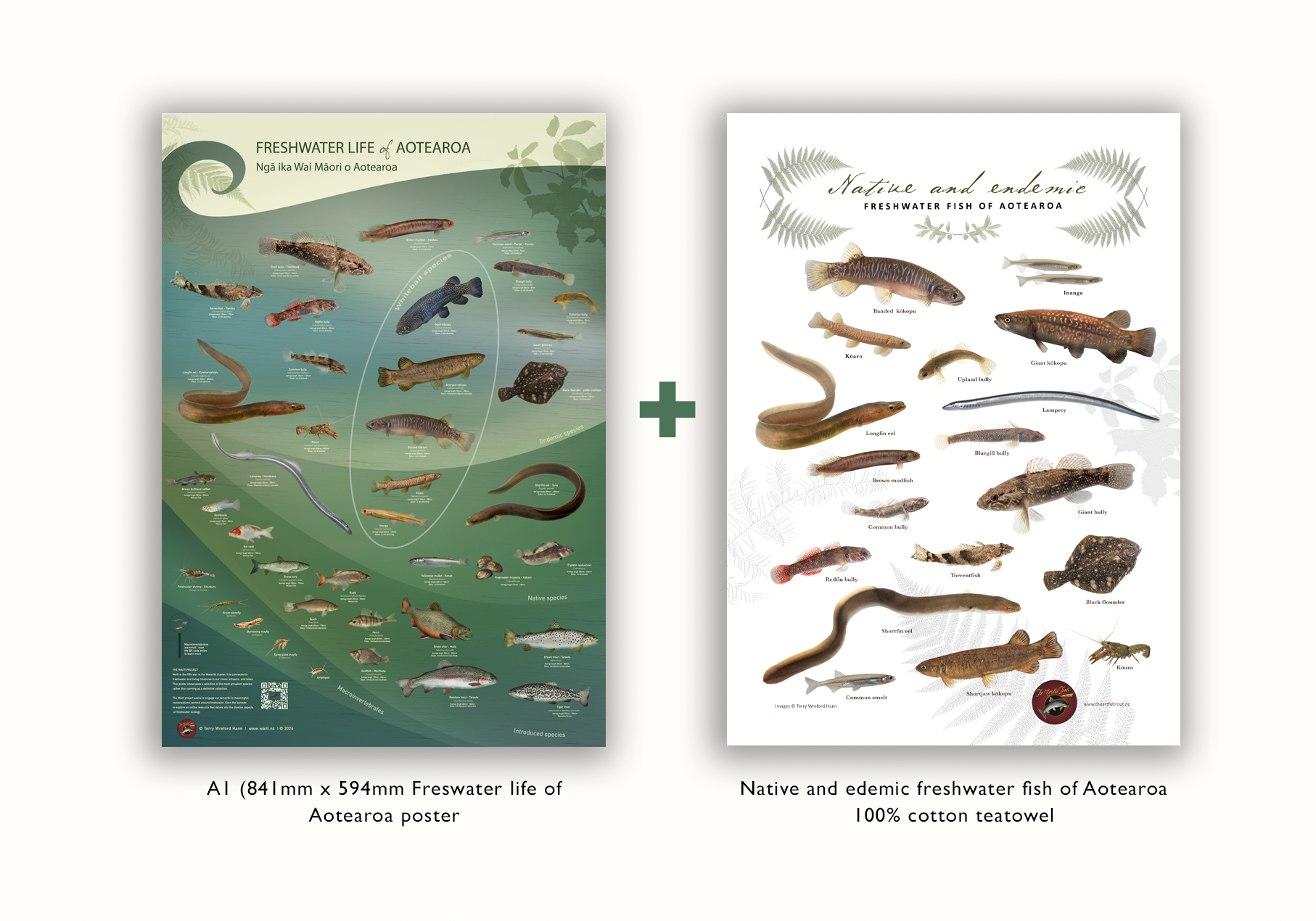 fish poster nz