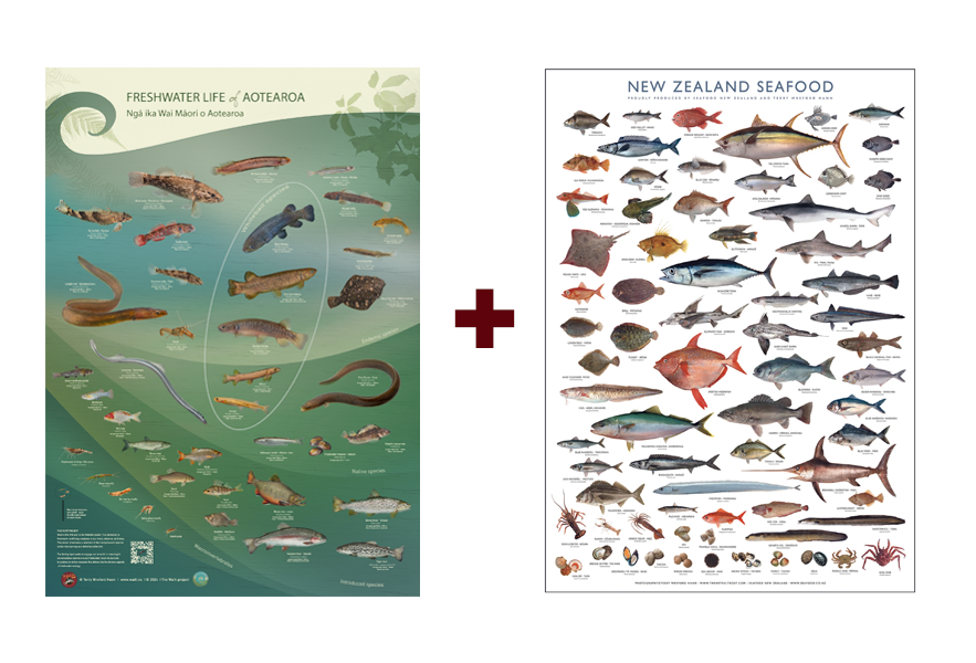 The Waitī project - Freshwater Life Poster for Schools | PledgeMe