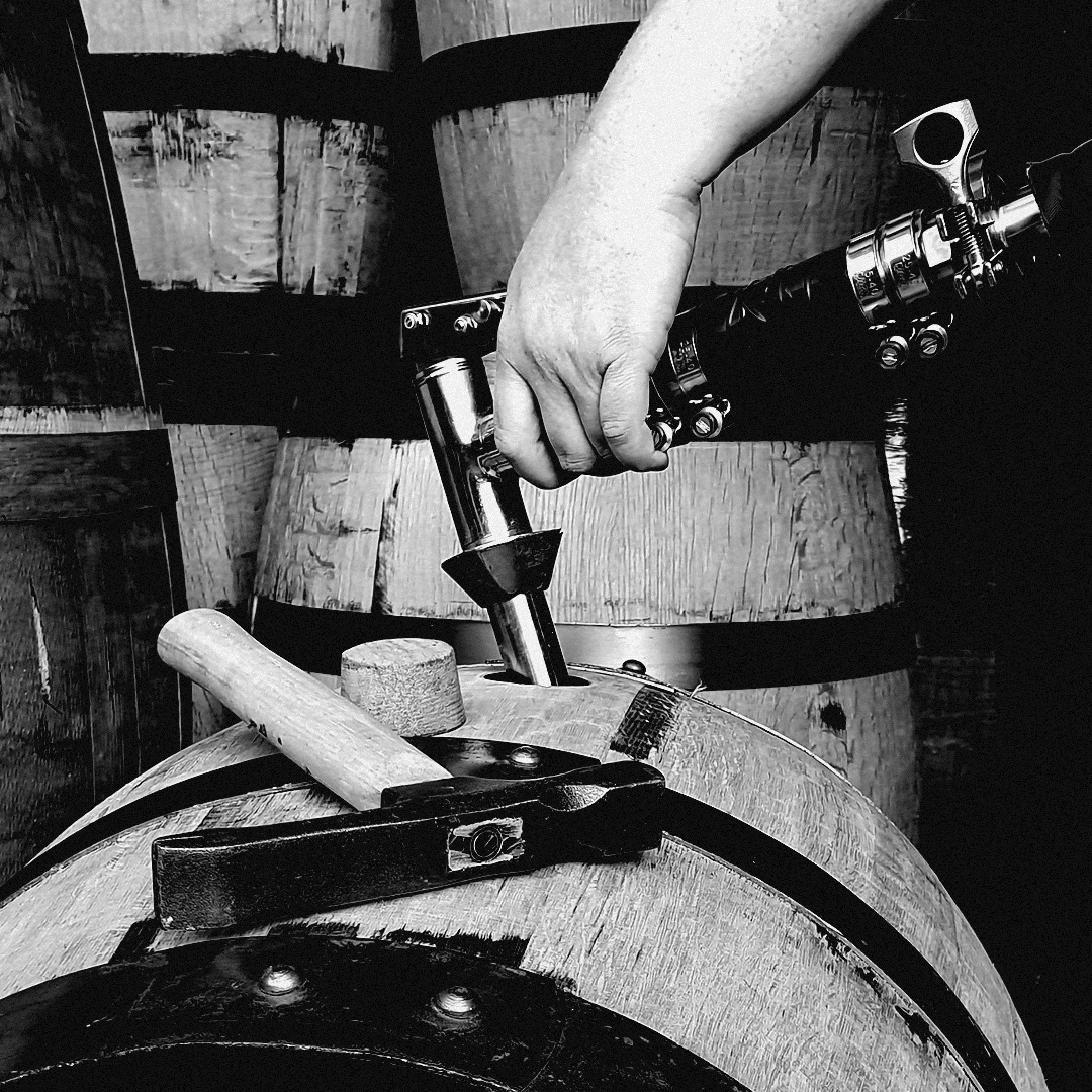 Help us release our first Single-Malt Whisky! | PledgeMe