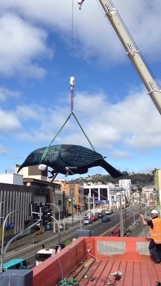 Find Izzy the Tūī a new home | PledgeMe