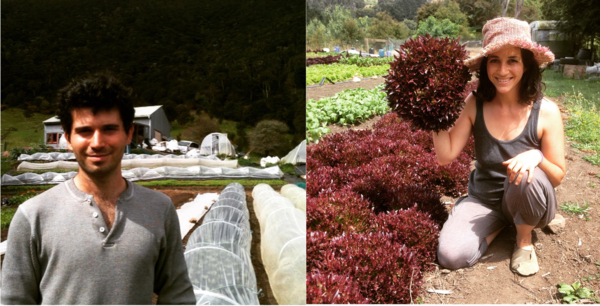 Running on Sunshine - Pakaraka Permaculture Organic Market Garden ...