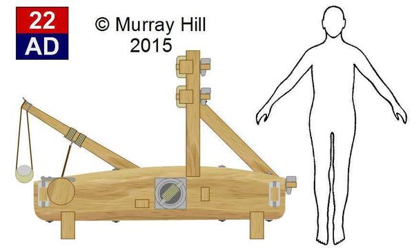 Life-sized Onager for New Zealand | PledgeMe