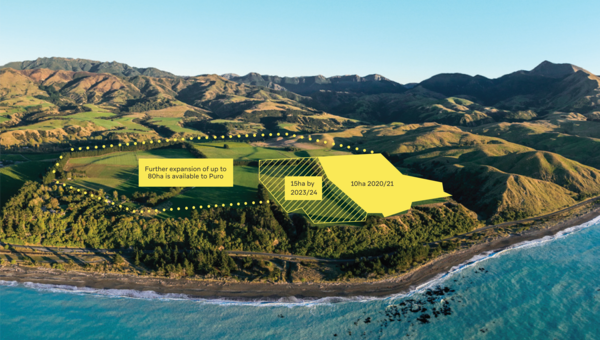 Puro New Zealand | PledgeMe