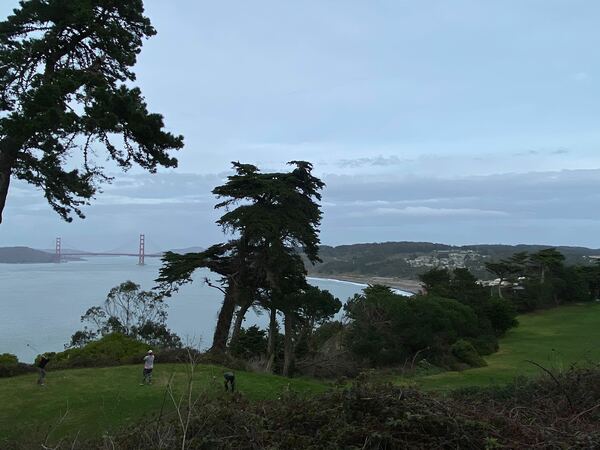 Taking Flight Haast Eagle | PledgeMe