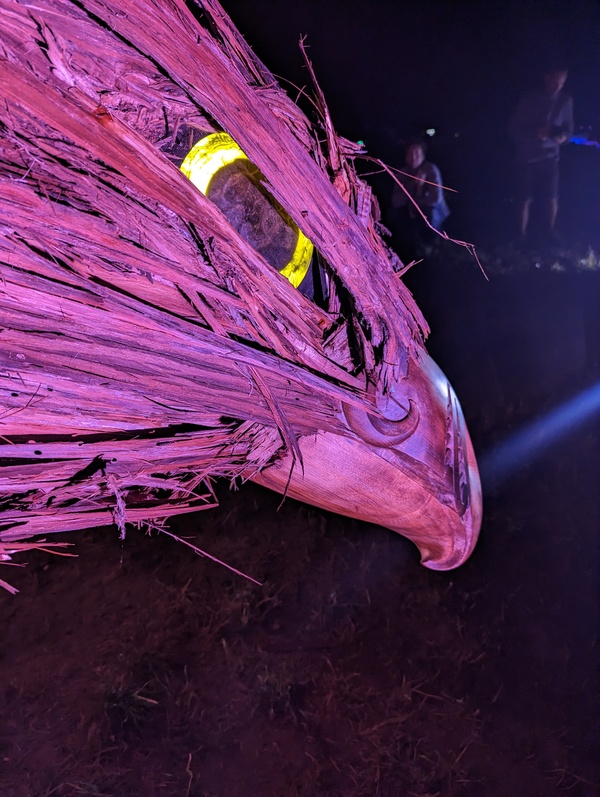 Taking Flight Haast Eagle | PledgeMe