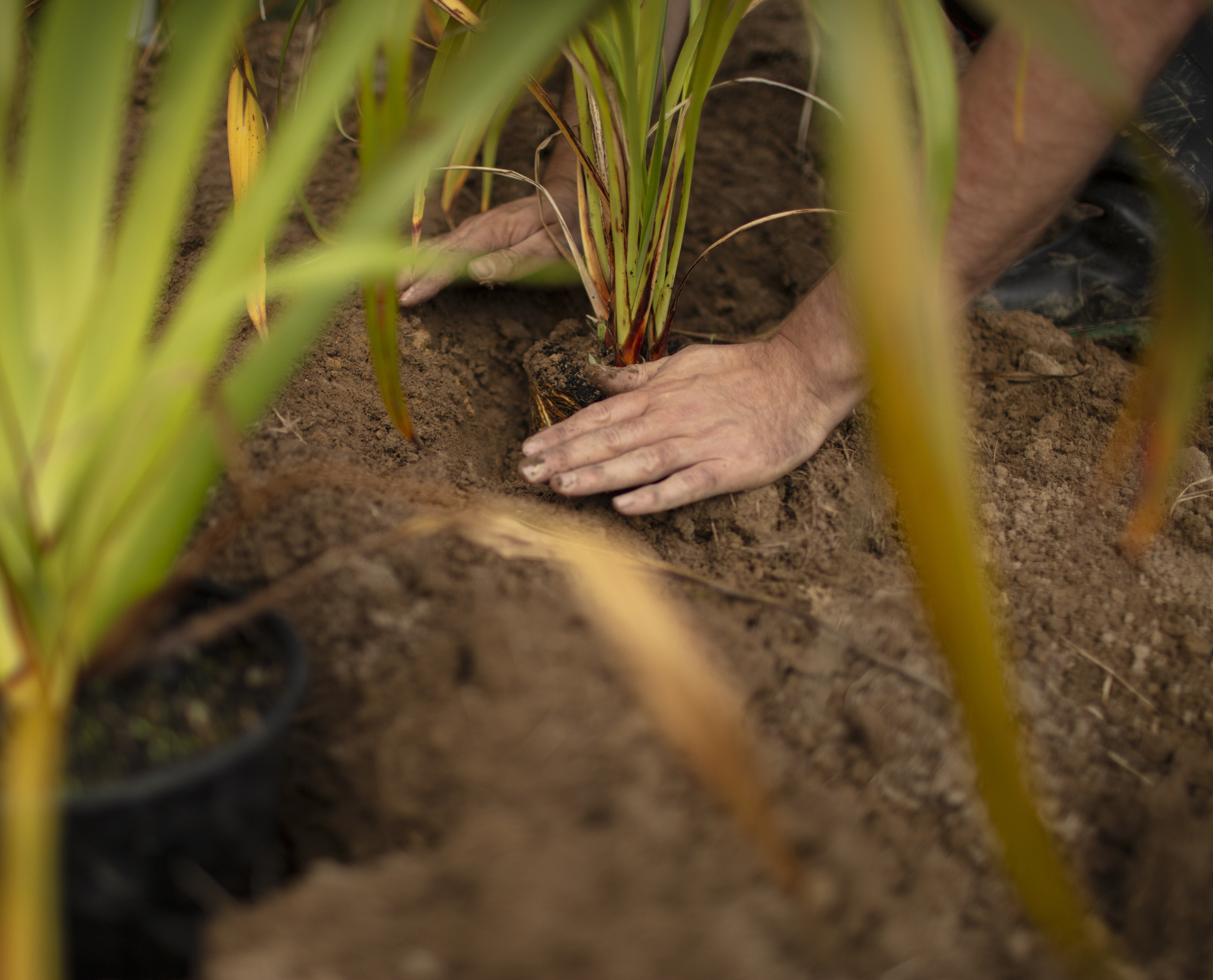 Experience the magic of Escarpment Domes | PledgeMe