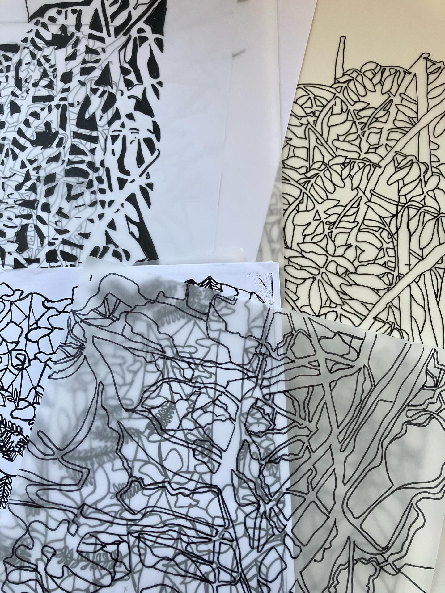 Experience the magic of Escarpment Domes | PledgeMe